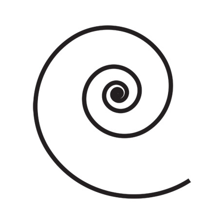 Patterns in Nature | Amy Lamb Studio, LLC